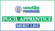 PGCIL Apprentice Merit List 2023 PDF Download Region Wise
